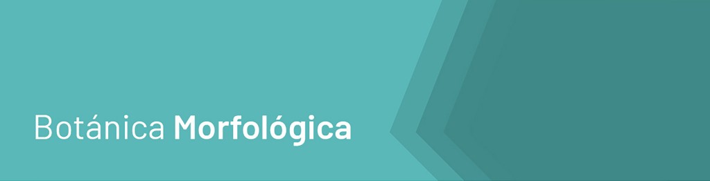 Botánica Morfológica | Facultad de Ciencias Agropecuarias